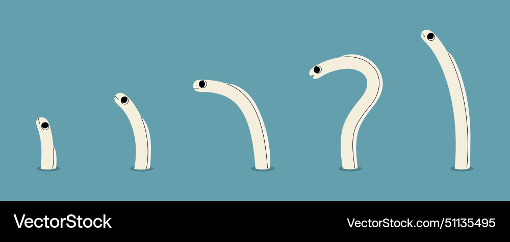 Sharp nose garden eel Royalty Free Vector Image