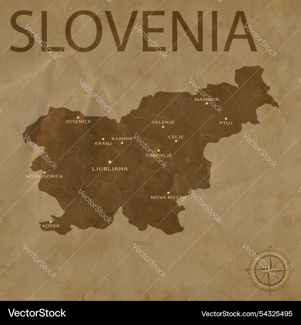 Vintage slovenia map with regions borders Vector Image