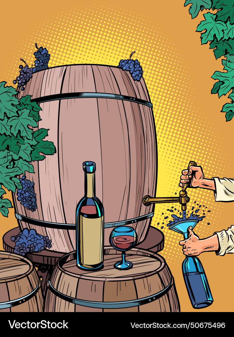 Process of making wine and drinking it a man Vector Image
