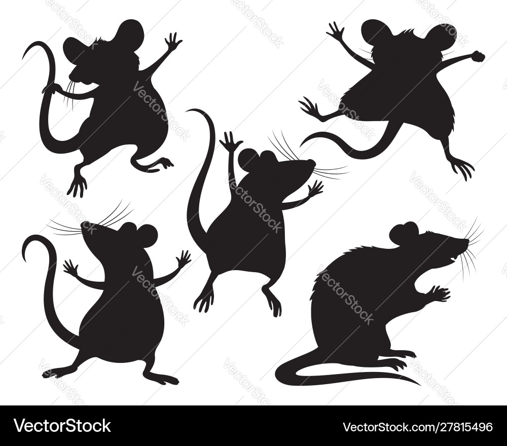 Mouse Jump Cartoon Vector Images (over 300)
