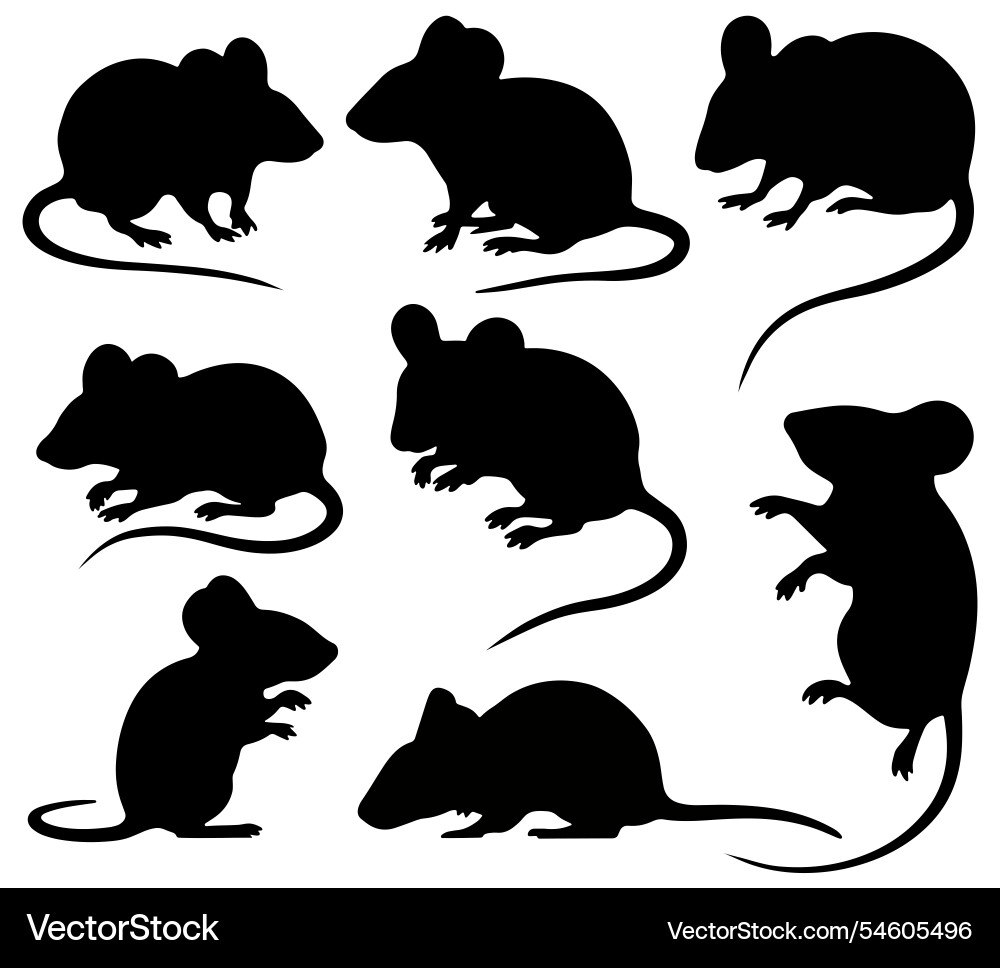Set of mouse silhouettes in different poses Vector Image