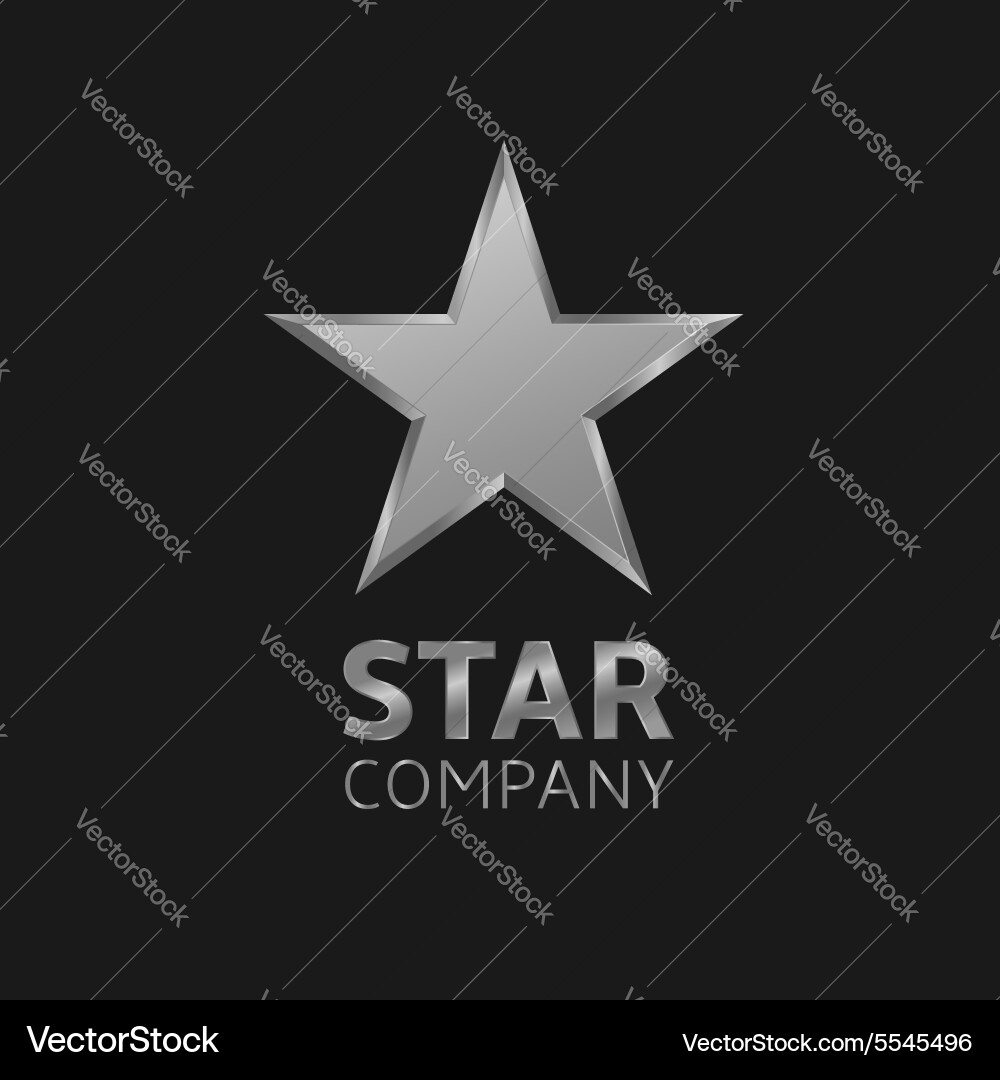 Silver Star Logo Royalty Free Vector Image - VectorStock