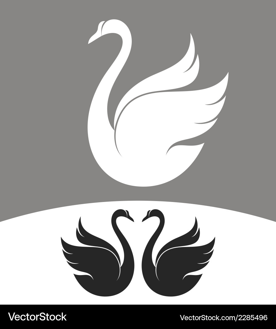 Swan Royalty Free Vector Image - VectorStock