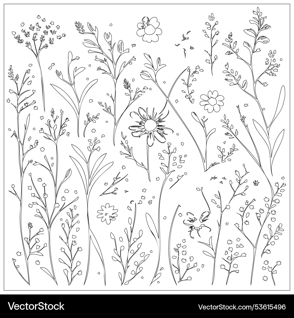 Wildflowers flower pattern outline sketch Vector Image
