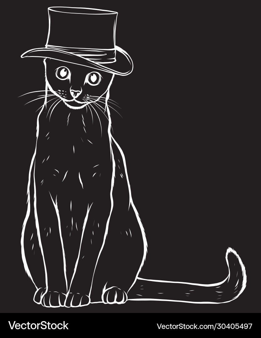 Cat gentleman in a hat black background Royalty Free Vector