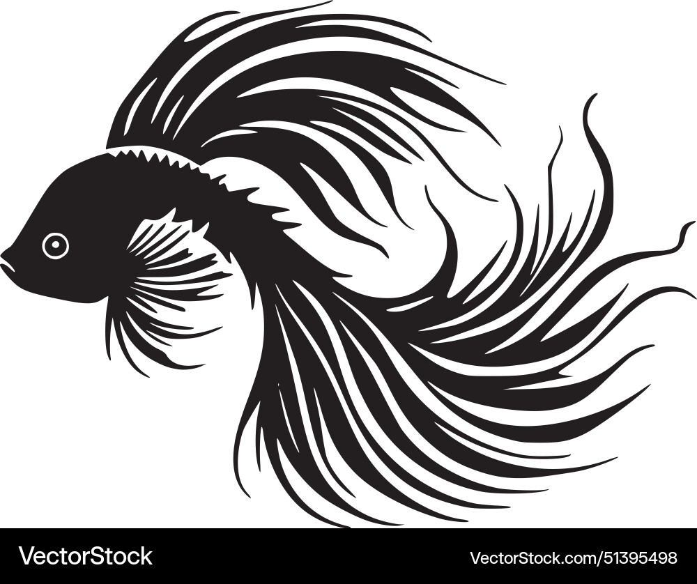 Betta fish - black and white Royalty Free Vector Image