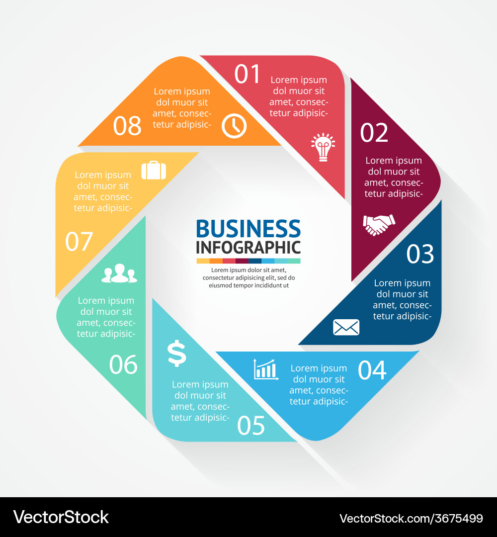Business circle infographic diagram with options Vector Image