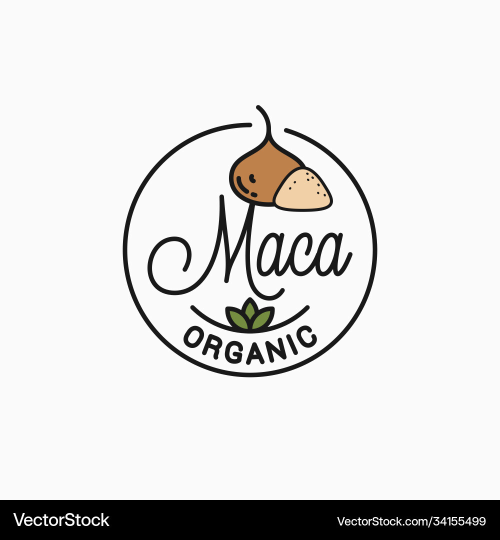 Maca logo round linear superfood Royalty Free Vector Image