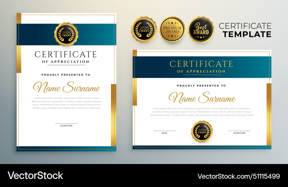 Professional diploma of achievement template Vector Image