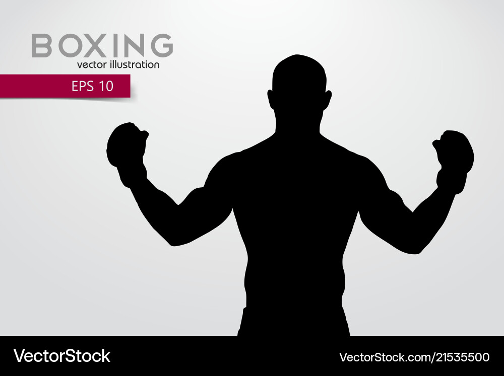Boxing silhouette Royalty Free Vector Image - VectorStock
