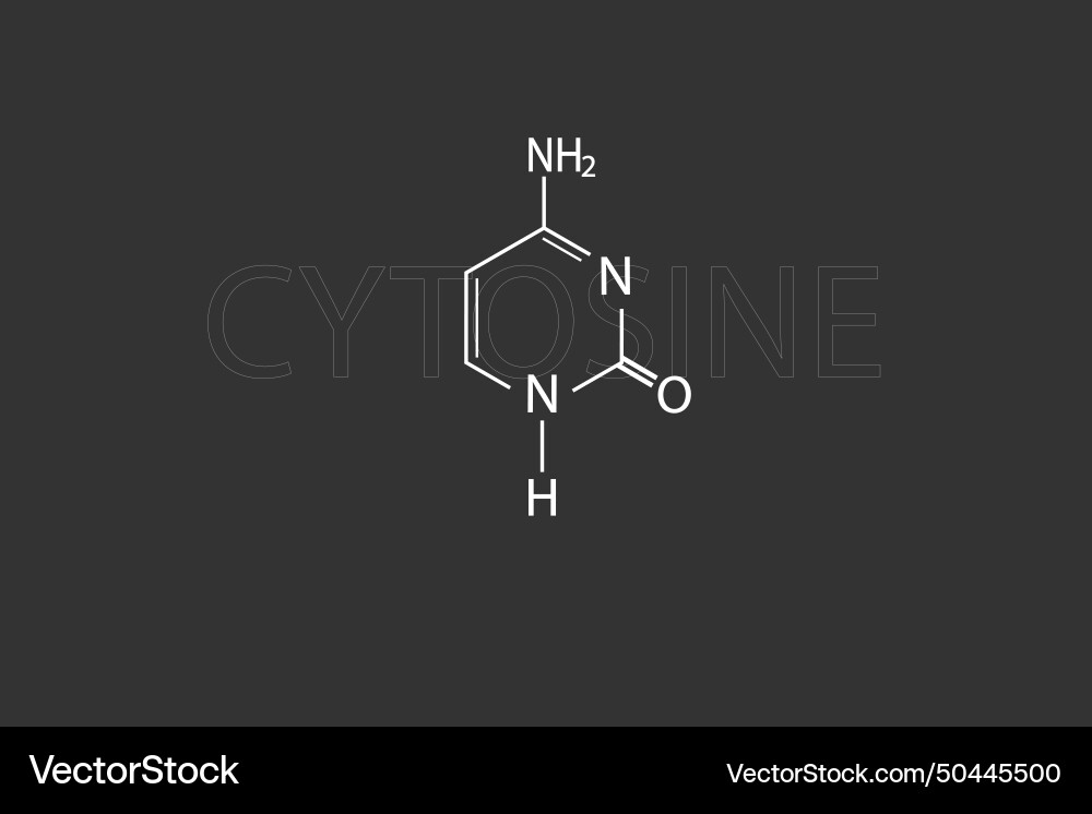 Natural menthol skeletal chemical formula Vector Image