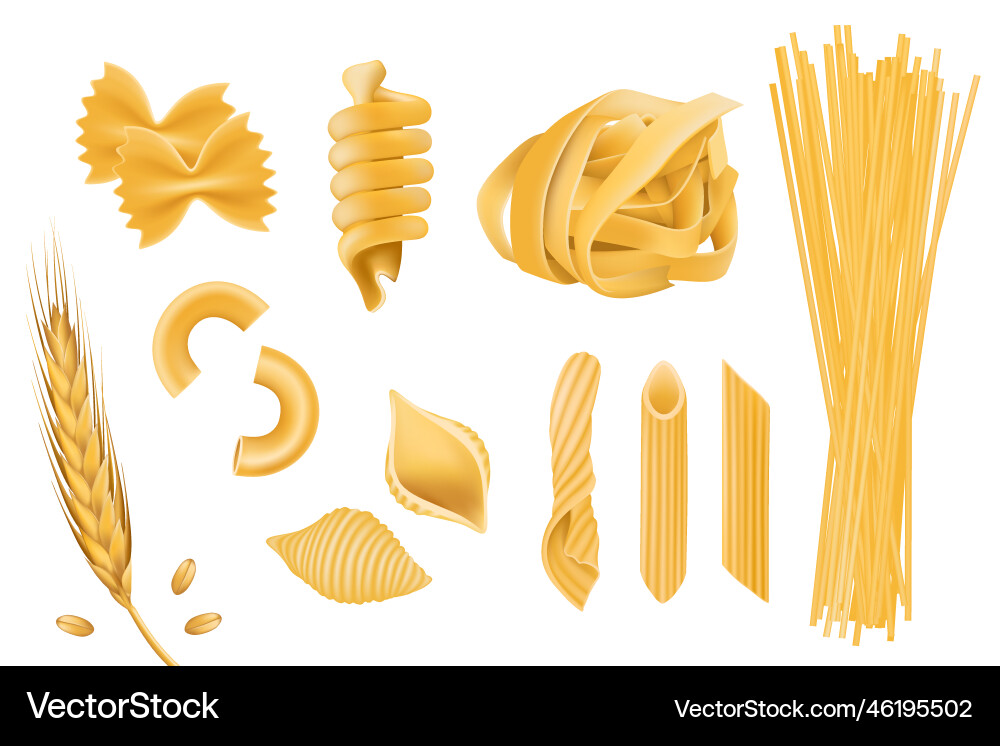 3d pasta spaghetti isolated macaroni italian Vector Image