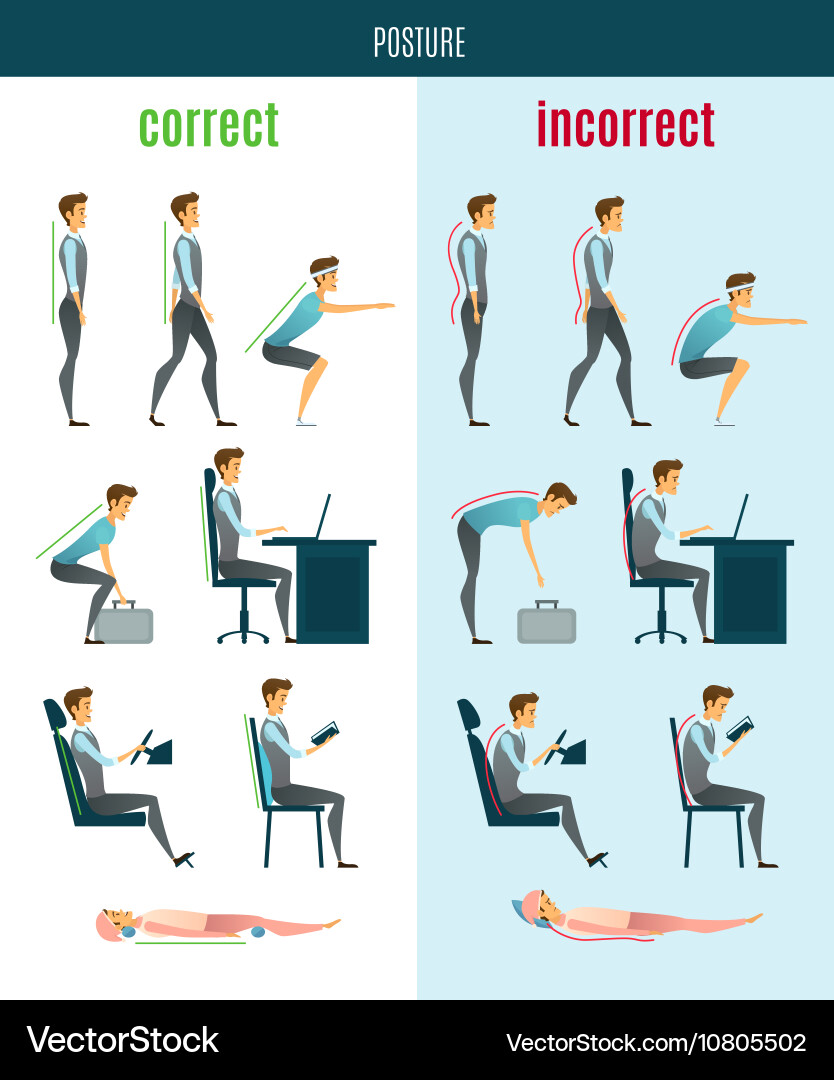 Correct And Incorrect Posture Flat Icons Vector Image