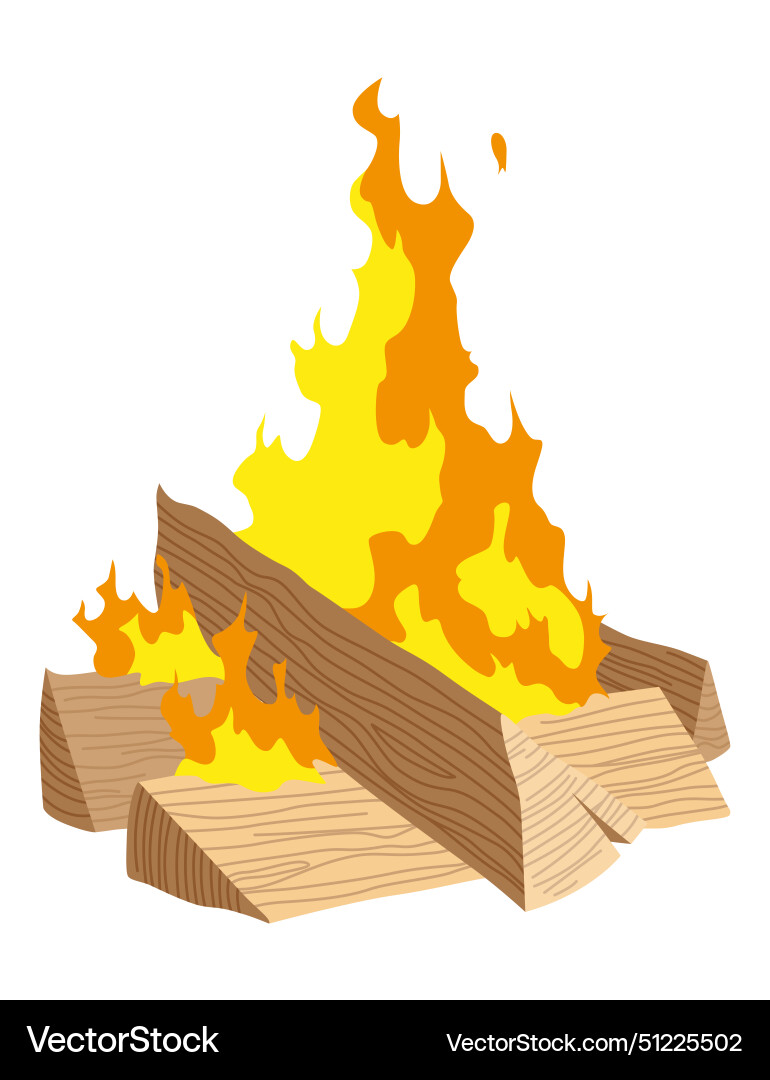 Fireplace campfire type burning wood travel Vector Image