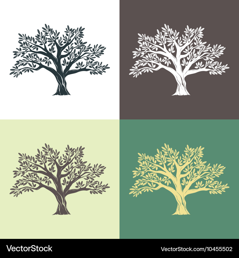 Hand drawn graphic argan trees set Royalty Free Vector Image