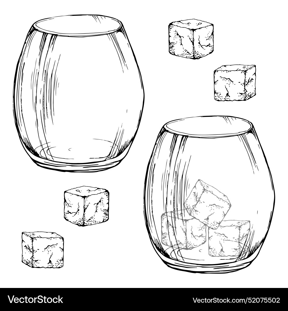 Ink Hand Drawn Sketch Of Isolated Object Scotch Vector Image