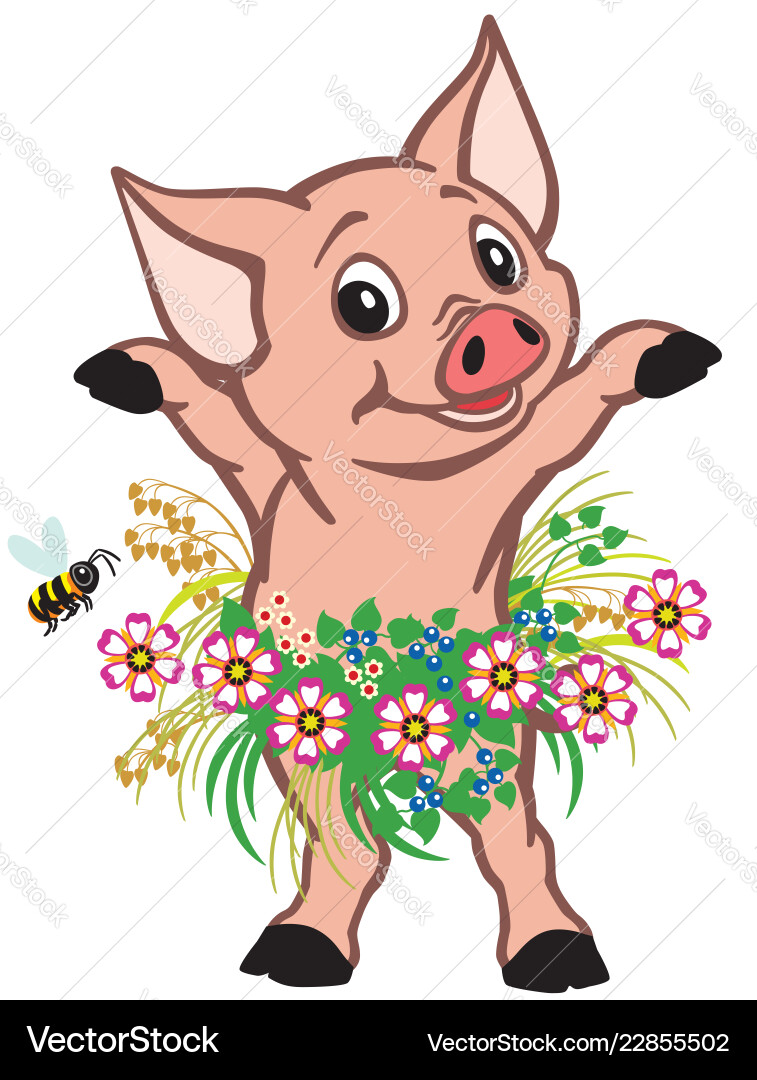 Pig baby girl Royalty Free Vector Image - VectorStock