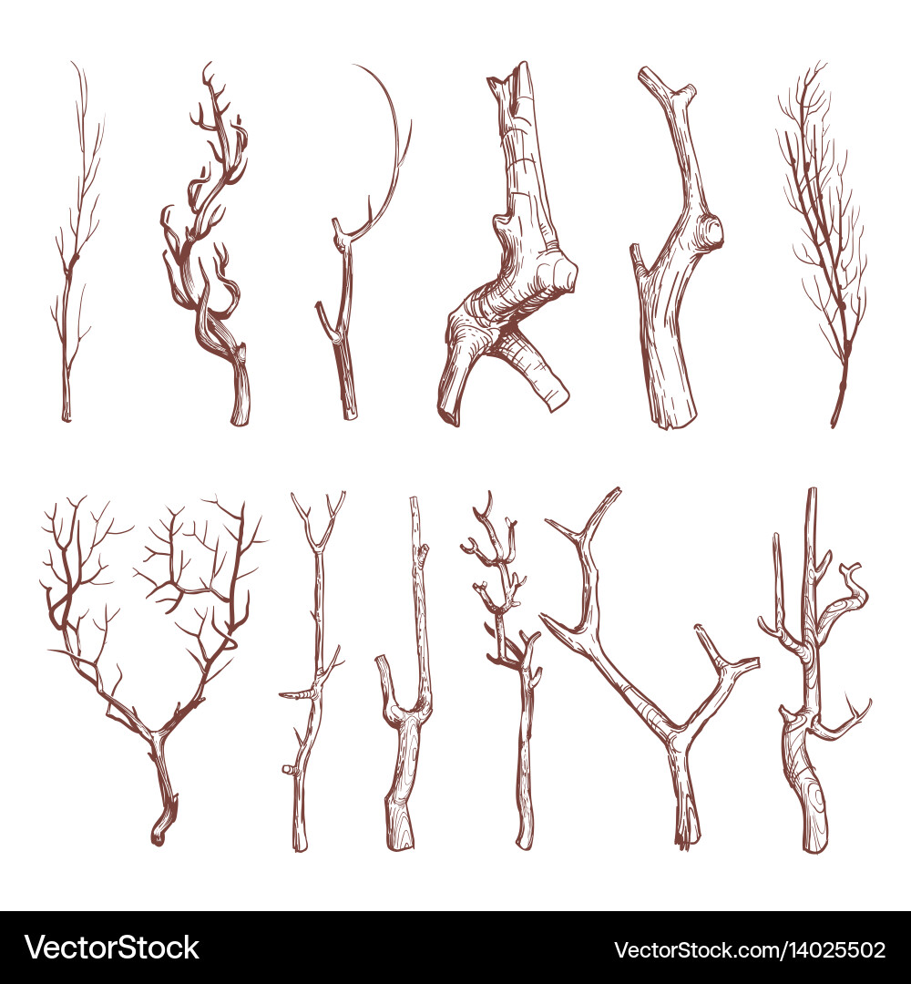 Broken Tree Vector Images (over 3,000)