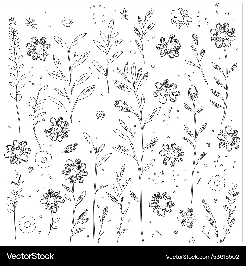 Wildflowers flower pattern outline sketch Vector Image