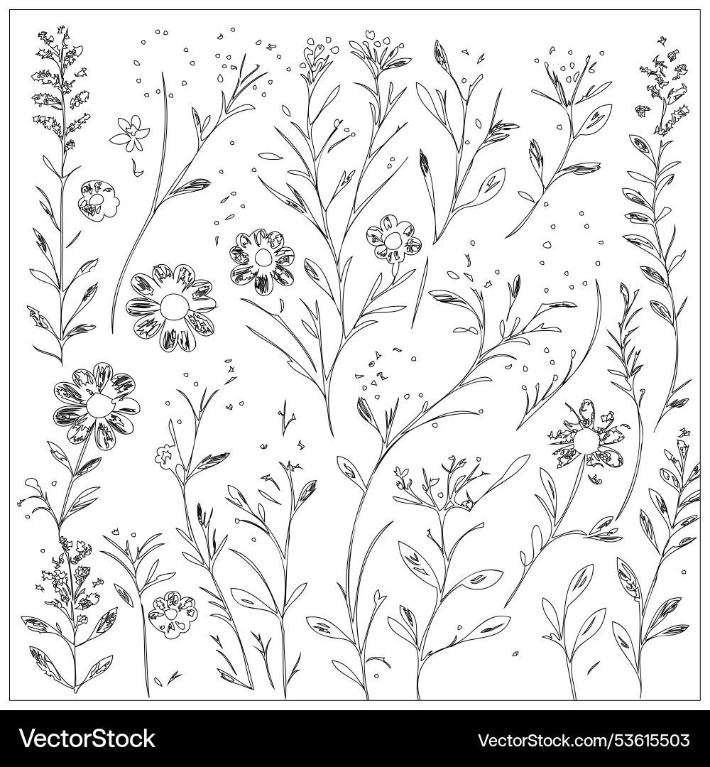Wildflowers flower pattern outline sketch Vector Image