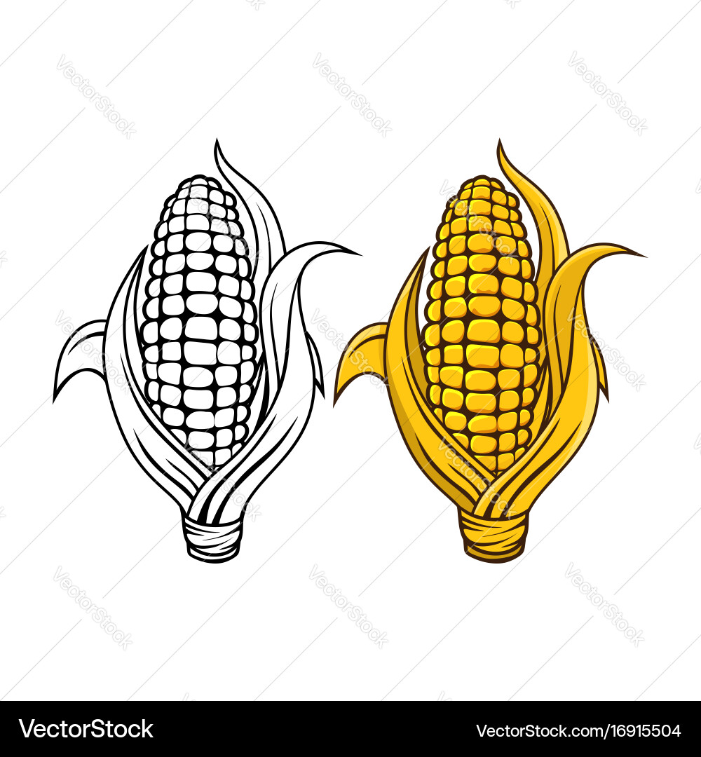 Corn Icon - Thanksgiving Harvest Royalty Free Vector Image