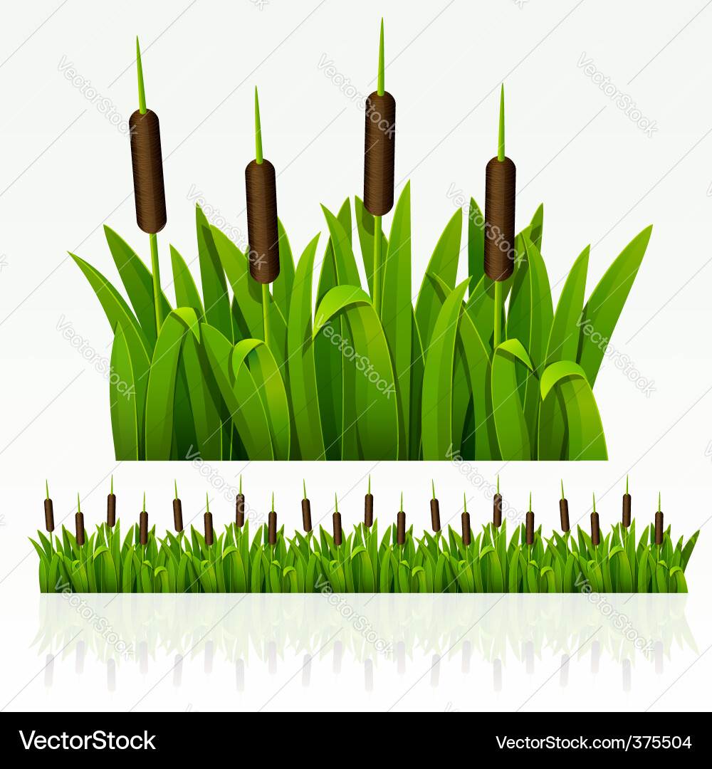 Grass border Royalty Free Vector Image - VectorStock