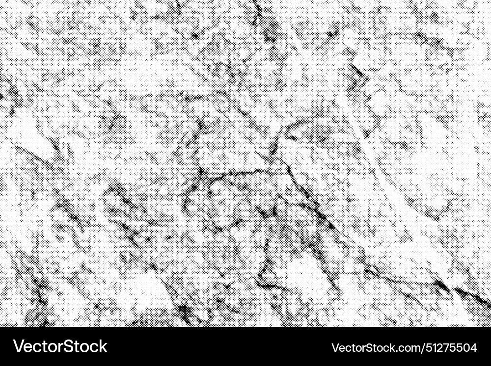 Grunge real originic halftone ink print on white Vector Image
