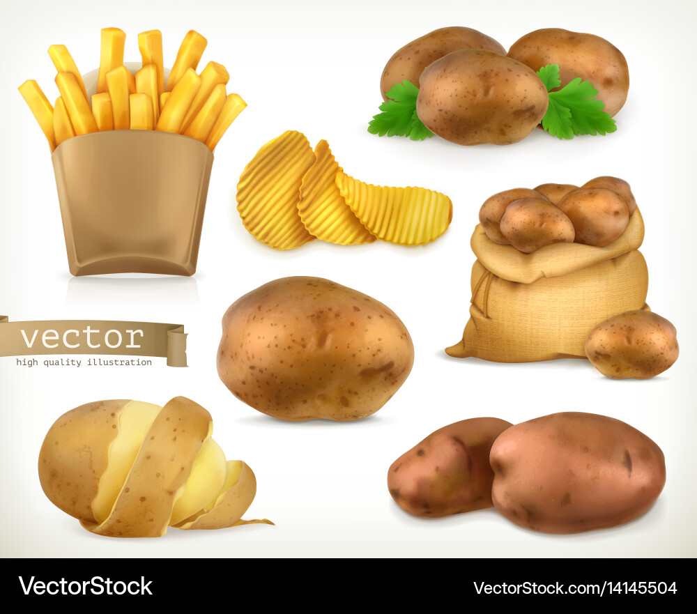Potato and fry chips vegetable 3d icon set Vector Image
