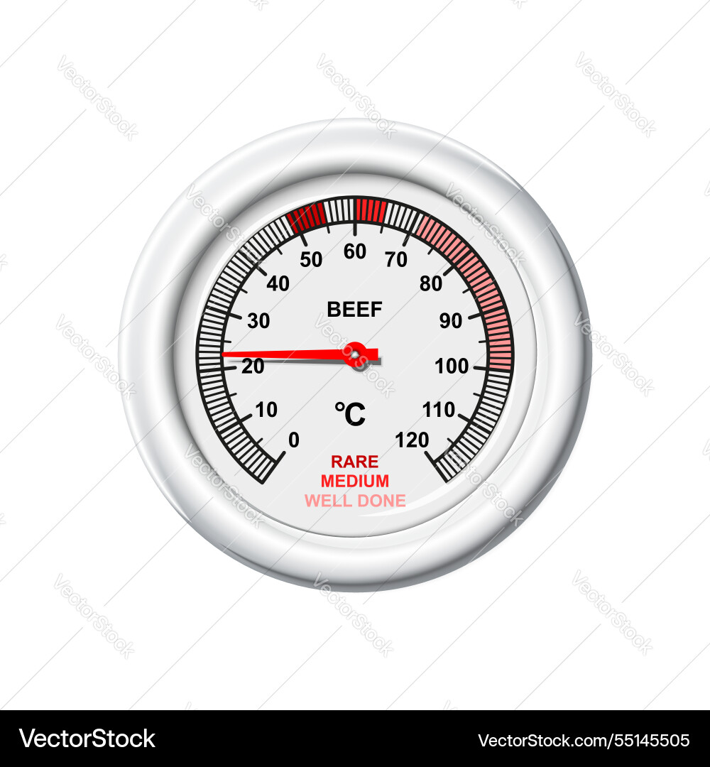Analog cooking meat thermometer isolated on white Vector Image