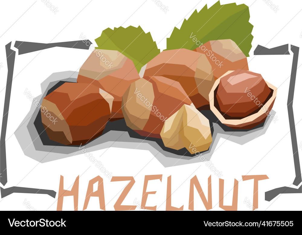 Simple of hazelnut Royalty Free Vector Image - VectorStock