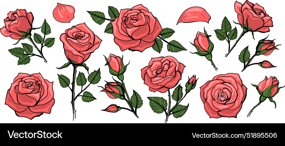 Hand drawn colorful roses Royalty Free Vector Image