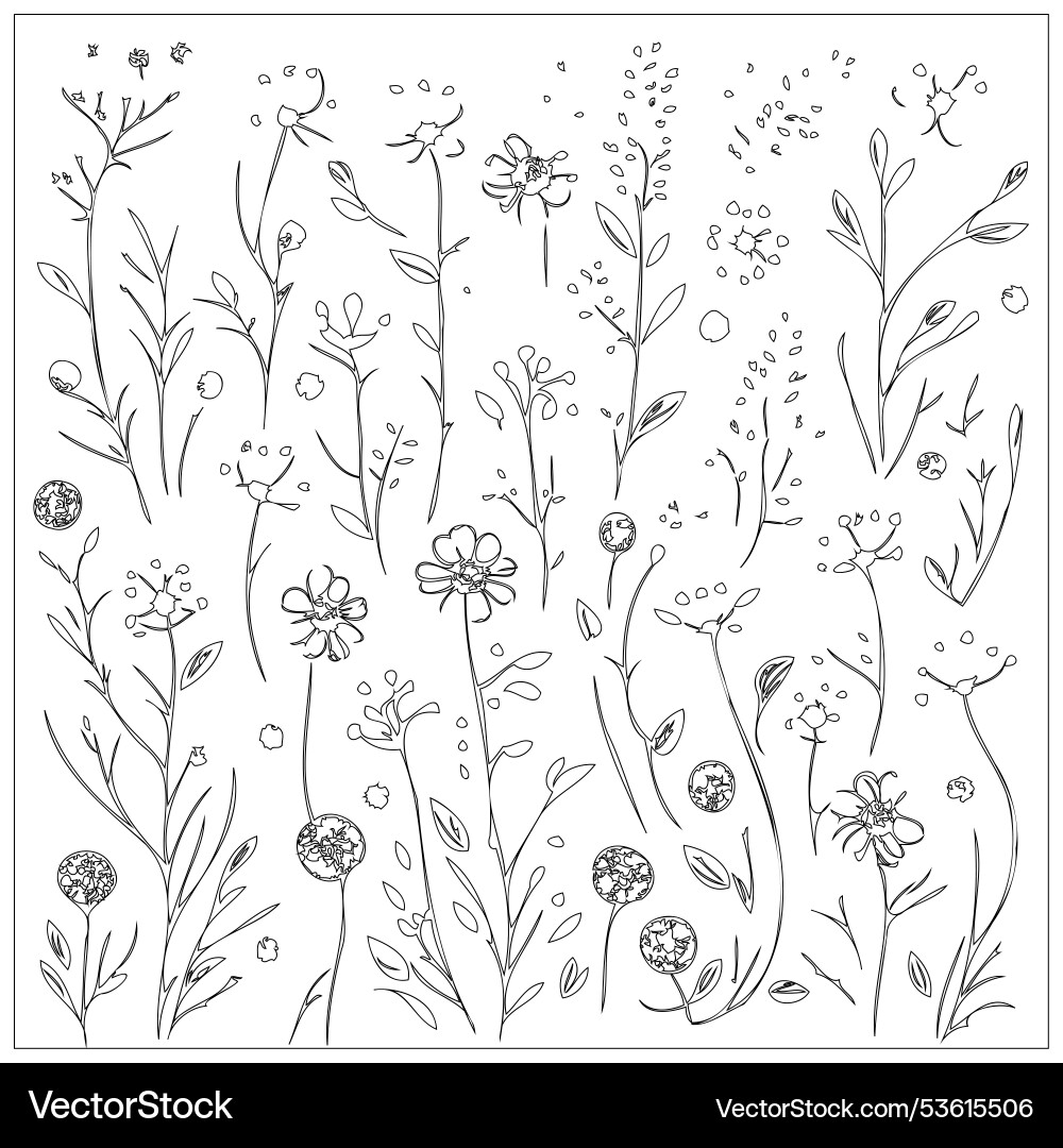 Wildflowers flower pattern outline sketch Vector Image