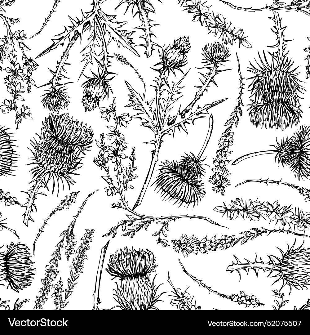 Ink hand drawn graphic sketch seamless pattern Vector Image