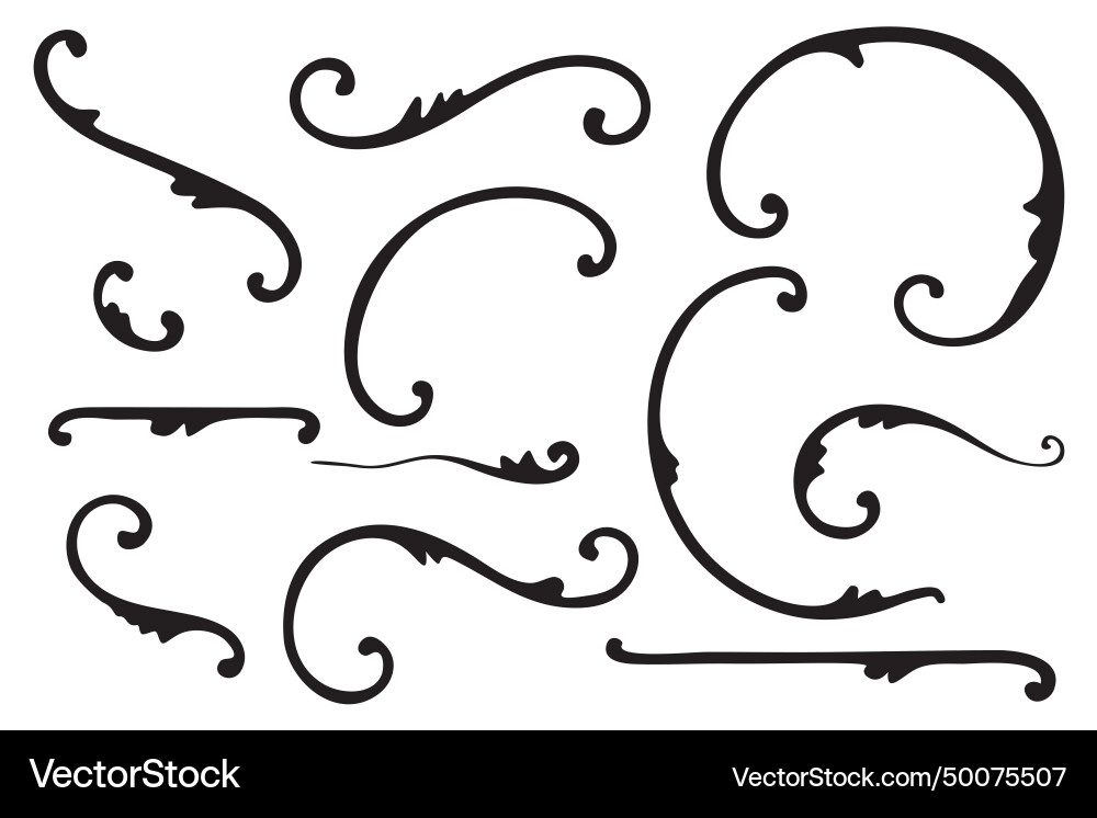 Set of decorative elements ornament florish Vector Image
