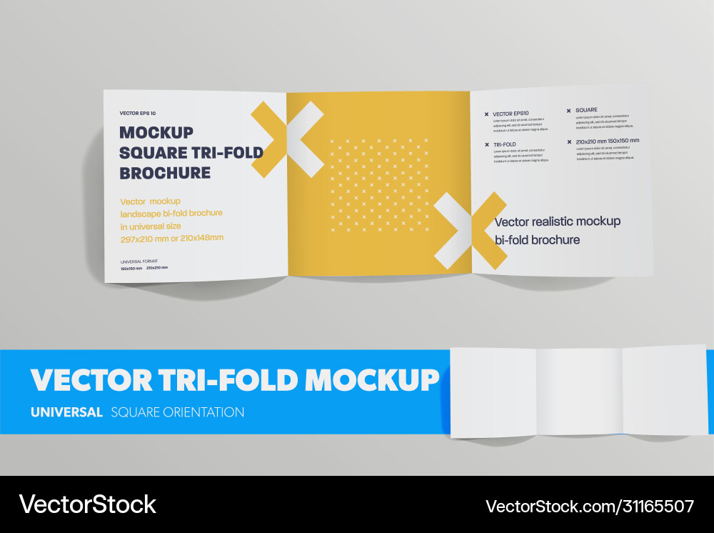 Template open booklet standard square tri-fold Vector Image