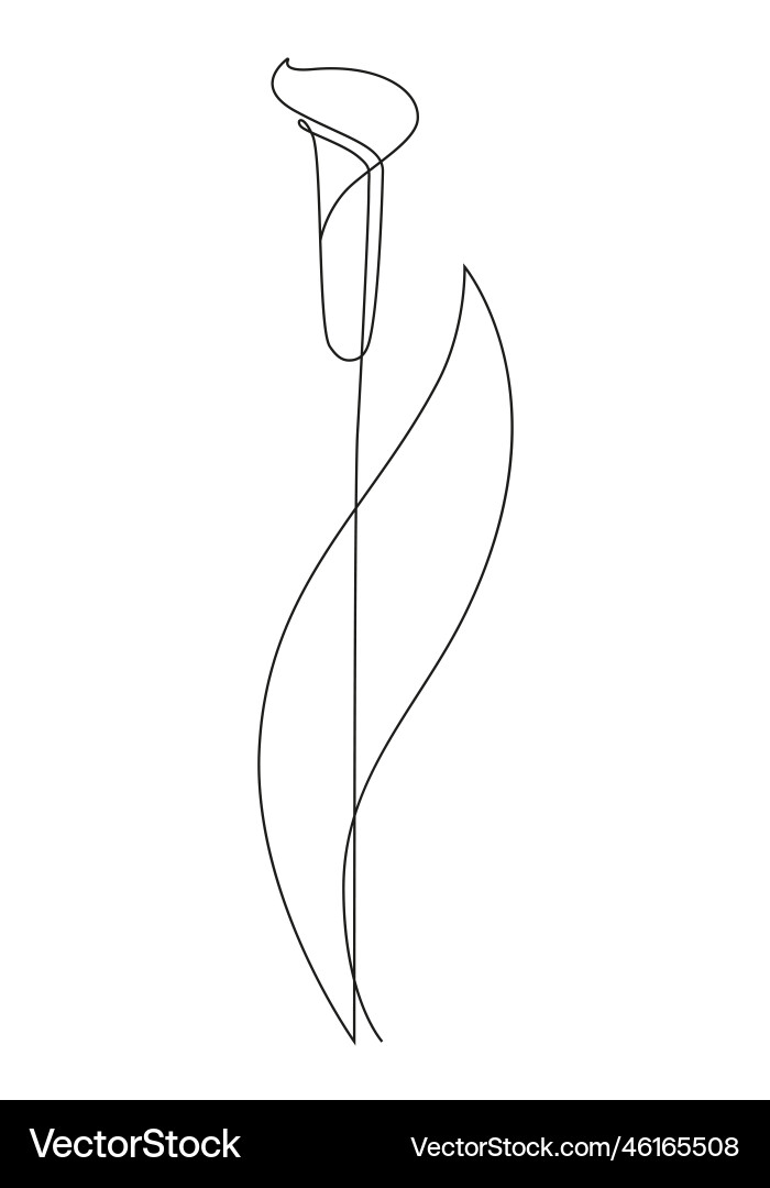 Flower line art minimalist outline pattern Vector Image