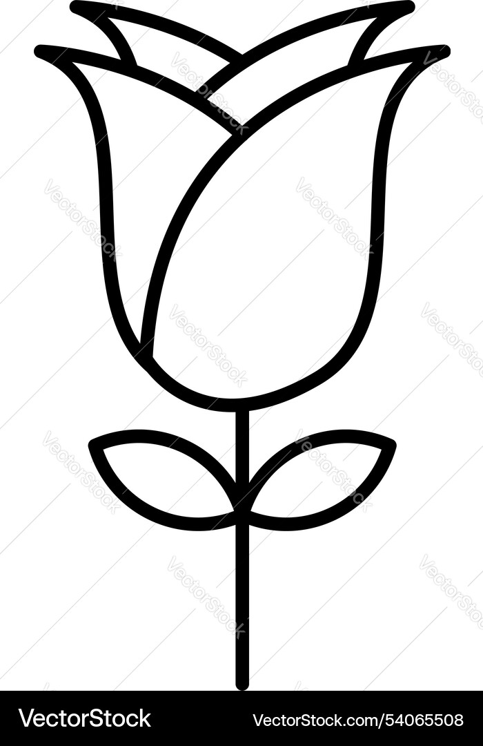 Rose line icon design Royalty Free Vector Image