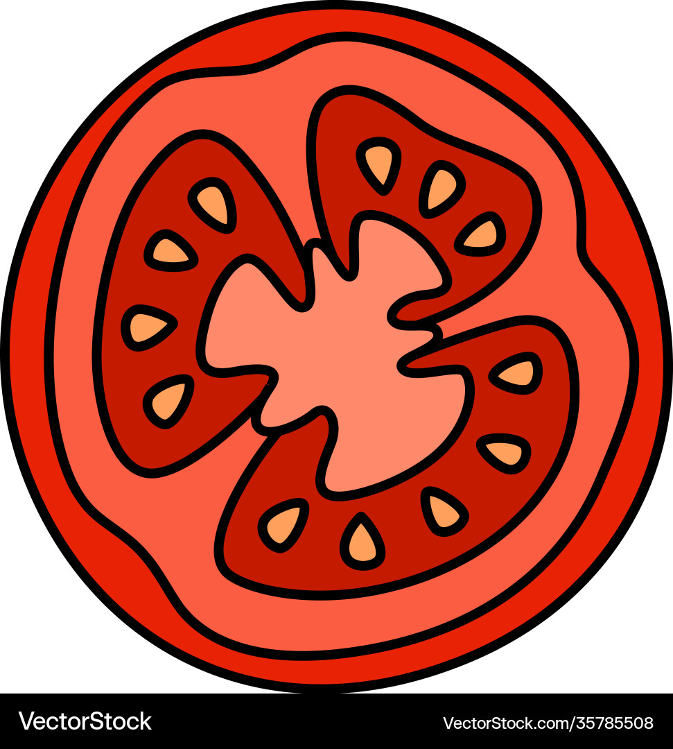 Tomato slice Royalty Free Vector Image - VectorStock