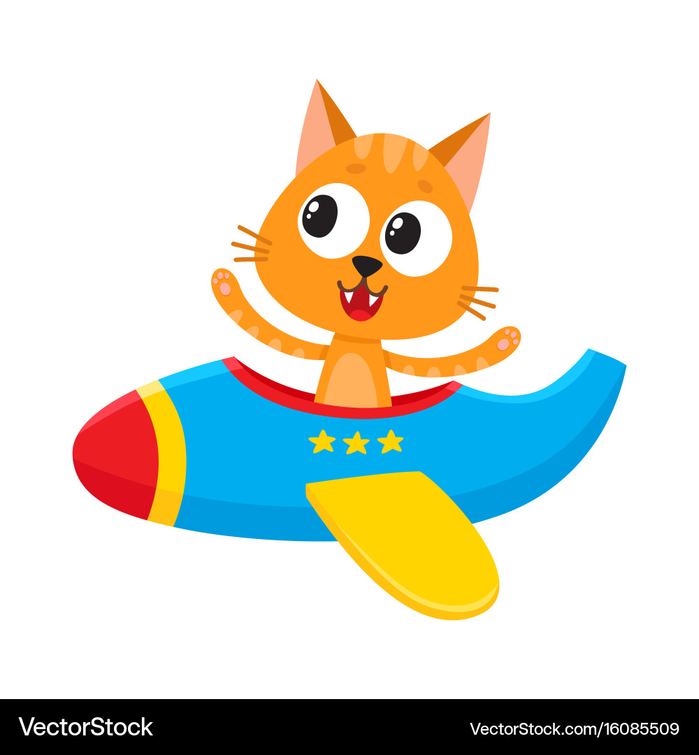 Funny cat kitten pilot character flying Royalty Free Vector
