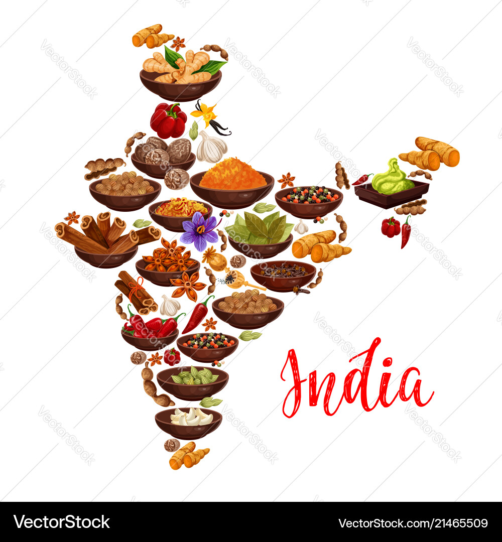 Indian Spice Map Royalty Free Vector Image - VectorStock