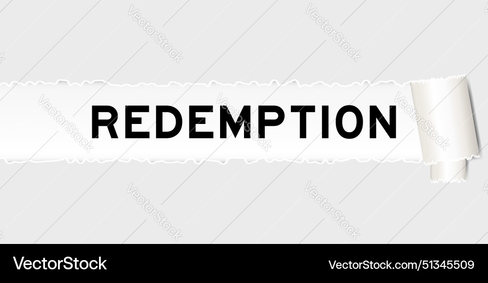 Ripped gray paper background that have word Vector Image