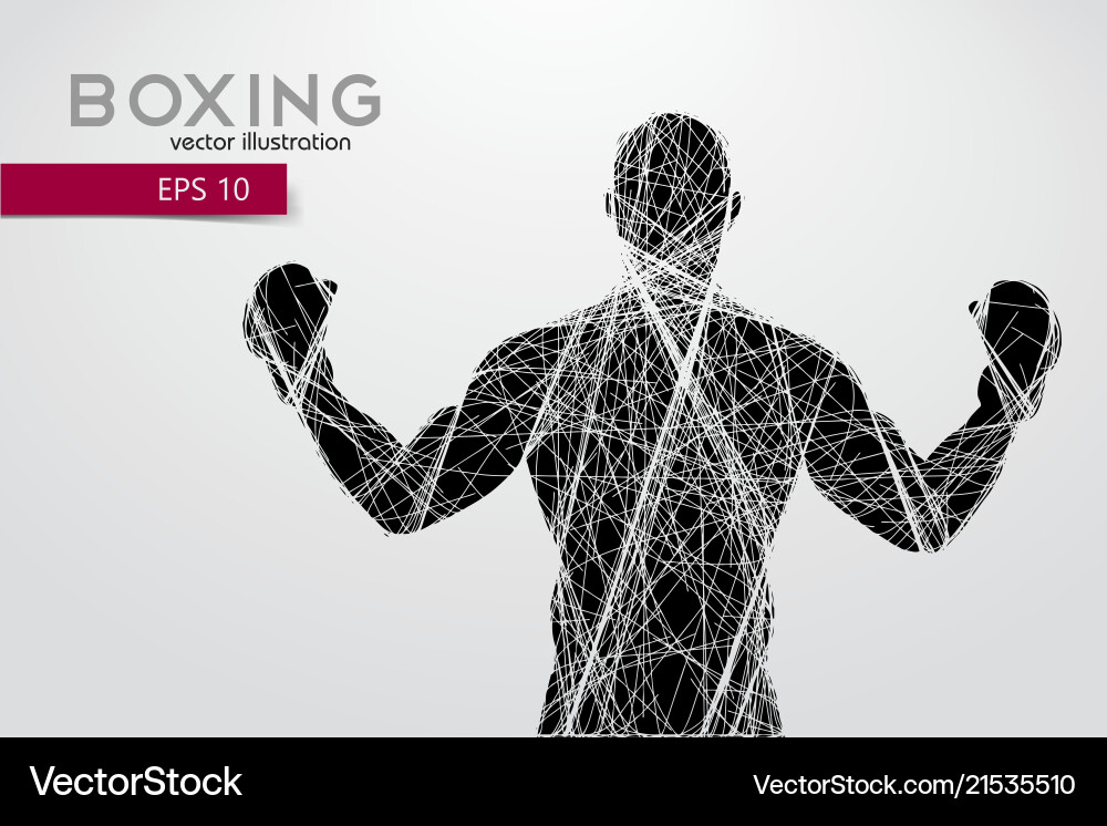 Boxing silhouette Royalty Free Vector Image - VectorStock