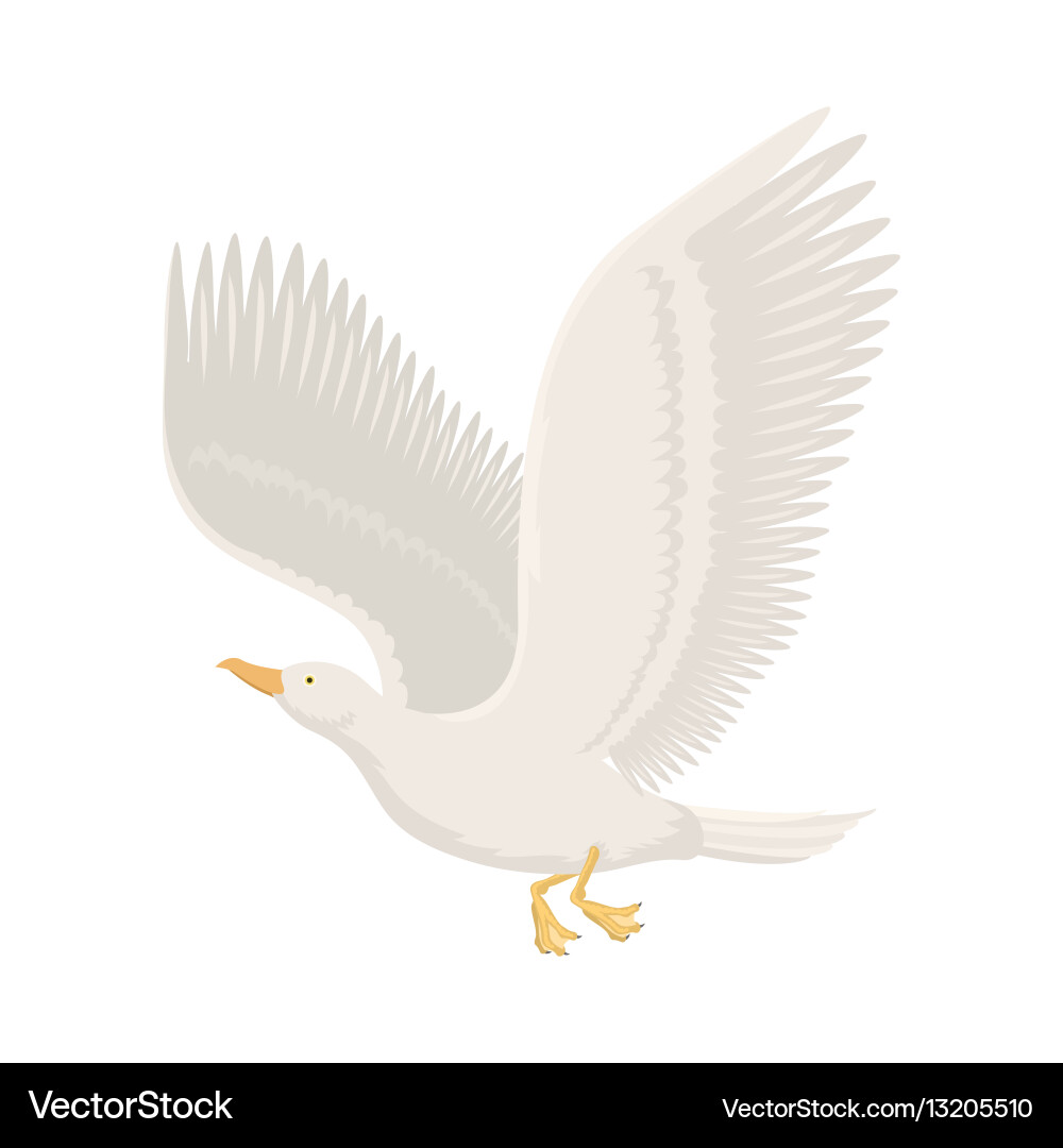 Cartoon gull flying bird Royalty Free Vector Image