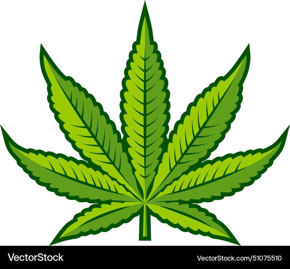 Leaf cannabis Royalty Free Vector Image - VectorStock