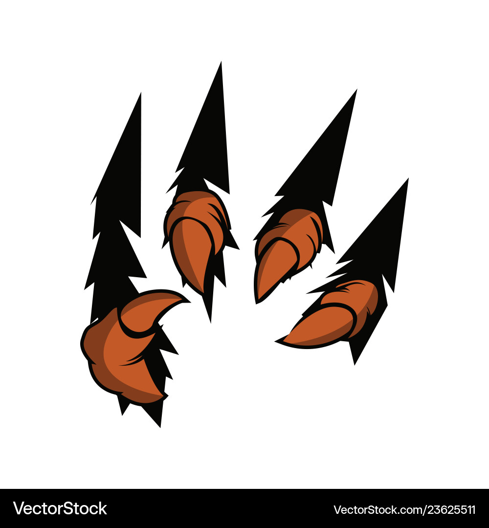 Eagle claw talons Royalty Free Vector Image - VectorStock