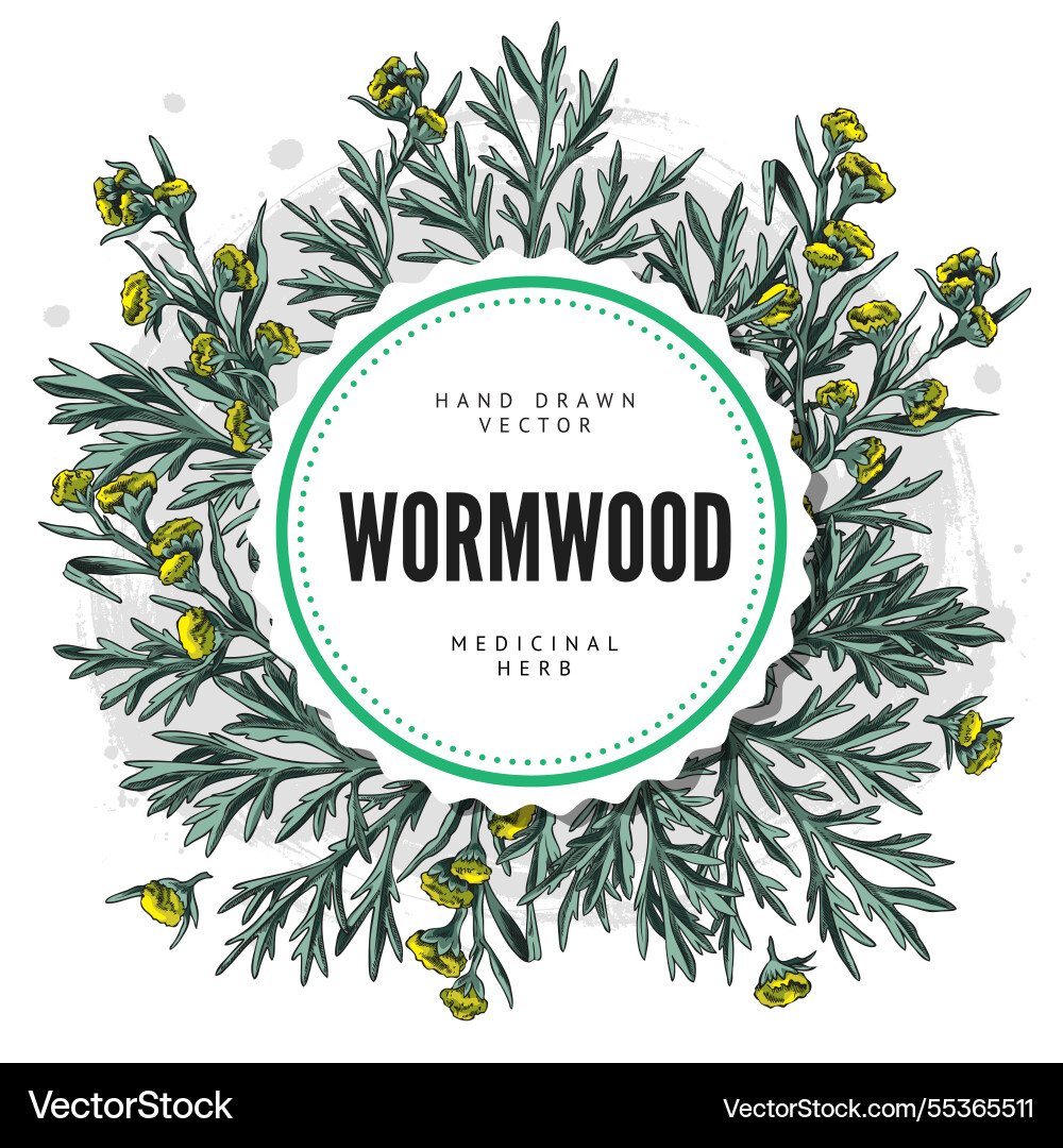 Wormwood plant sketch round label design Vector Image