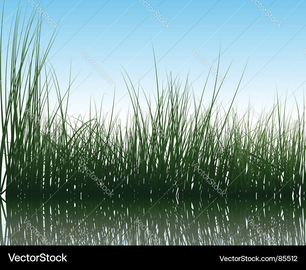 Grass on water Royalty Free Vector Image - VectorStock