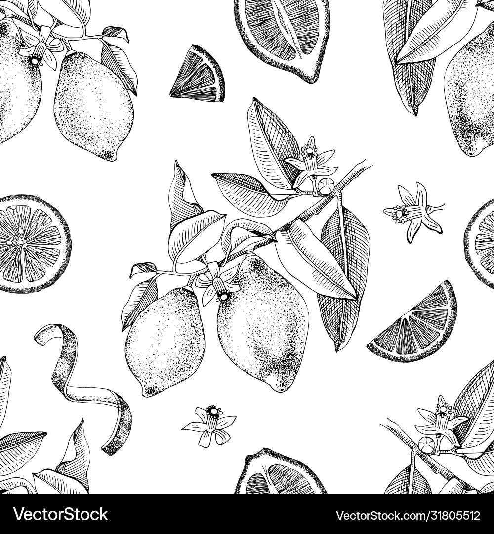Hand-Drawn Lemon Pattern Royalty Free Vector Image