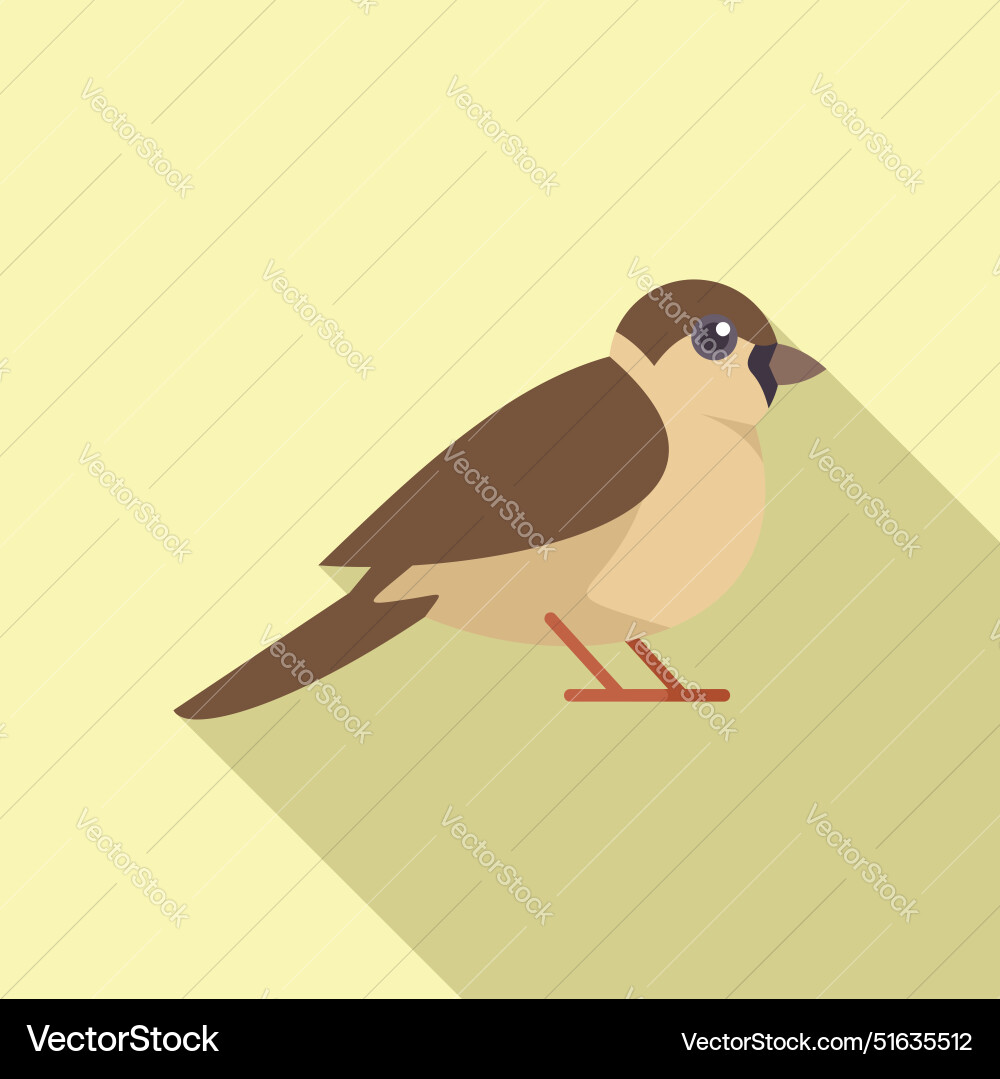 Little sparrow bird standing on ground with long Vector Image