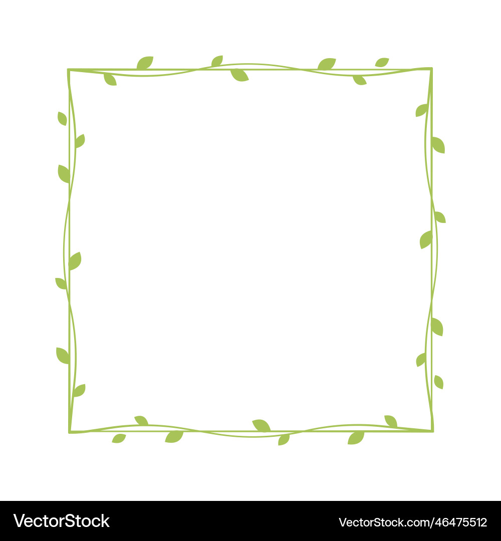 Square green vine frames and borders floral Vector Image